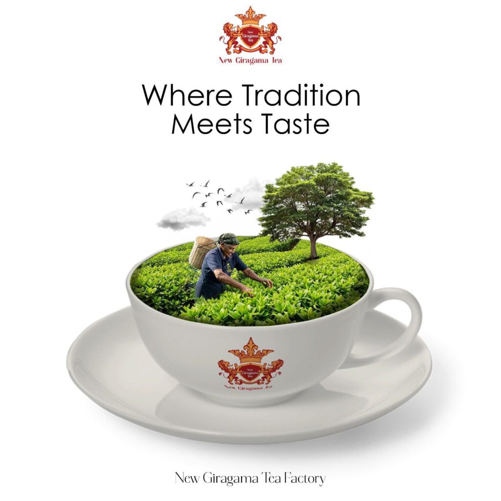New Giragama Tea